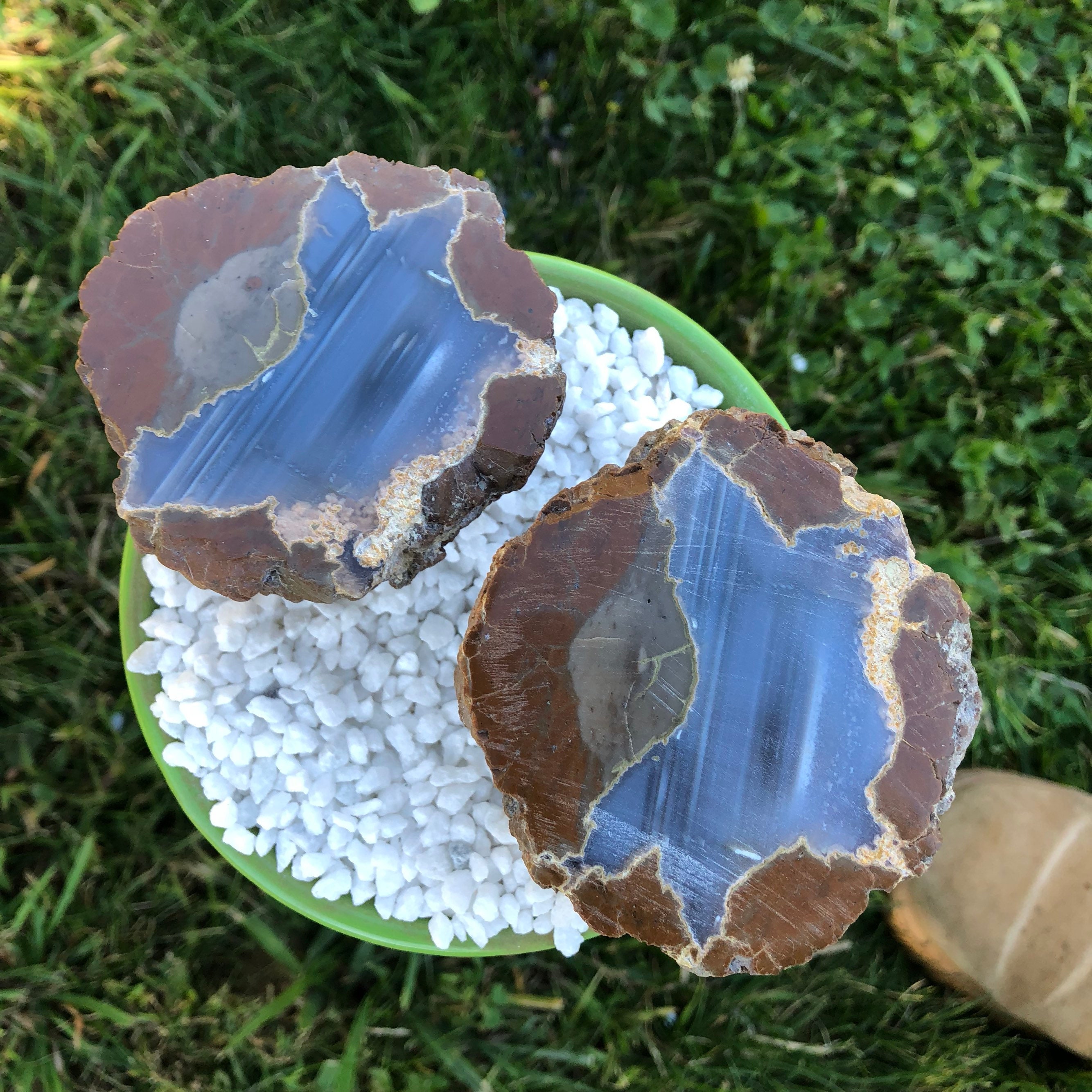 Thunder Egg cut in half and polished from Richardsons Ranch in Oregon