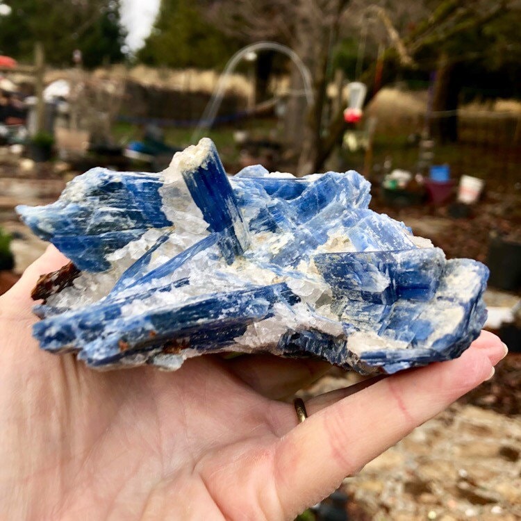 Large Blue and White Kyanite Crystal Cluster with Red Almandine Garnet