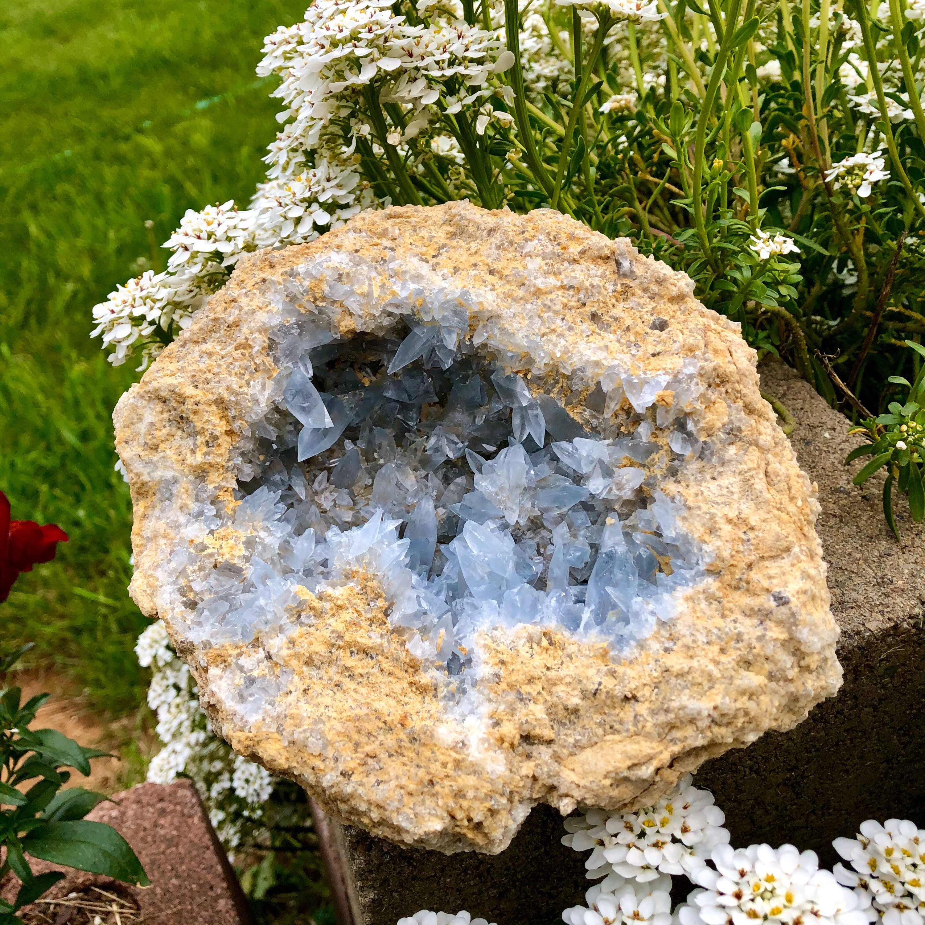 5.73 lbs Blue Celestite Celestine Geode Crystal Cluster Mineral Display ...