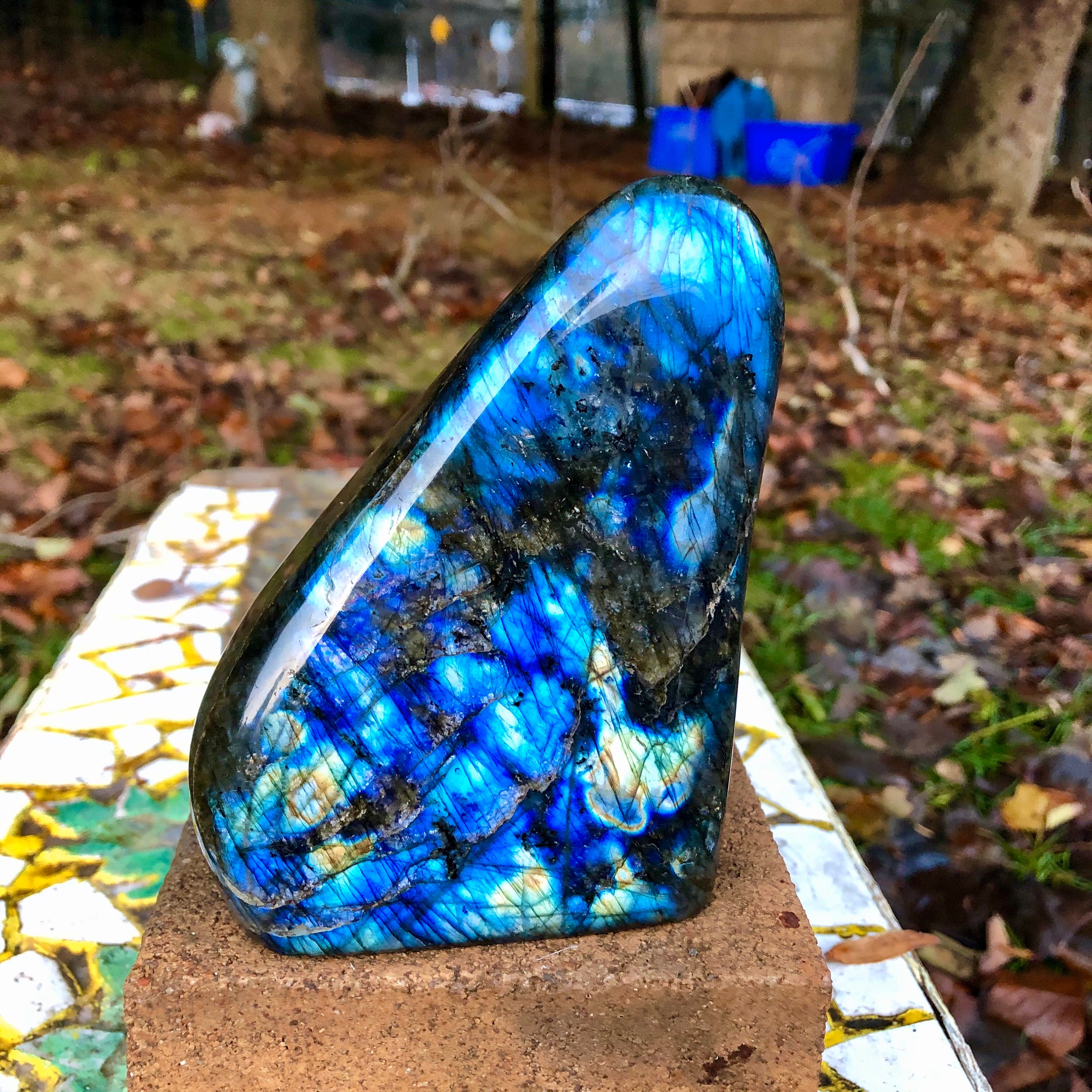 Blue Flash Spectralite Labradorite Standing Freeform Specimen
