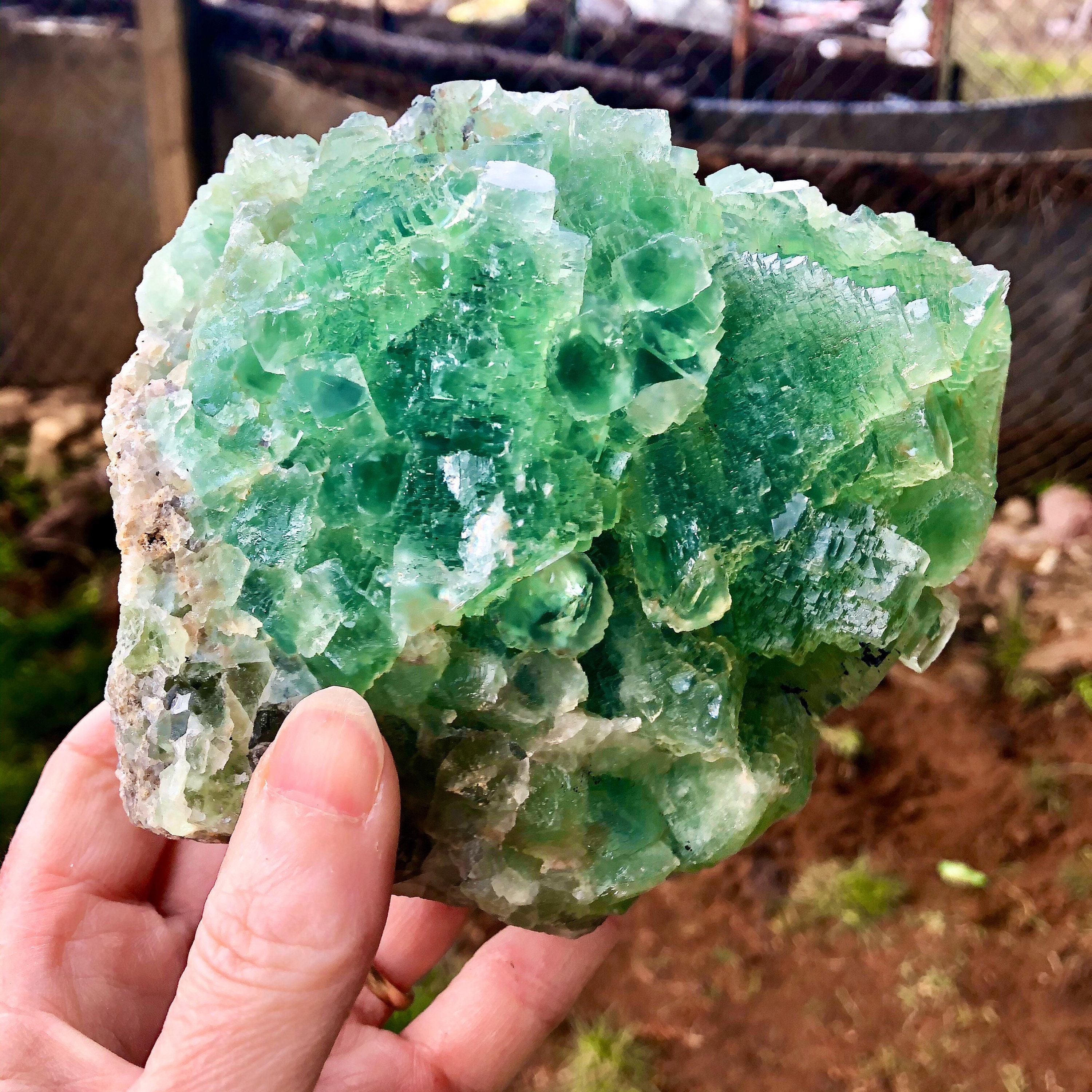 1596g Large Lime Green Cubic Octagonal Fluorite Crystal Cluster Mineral ...