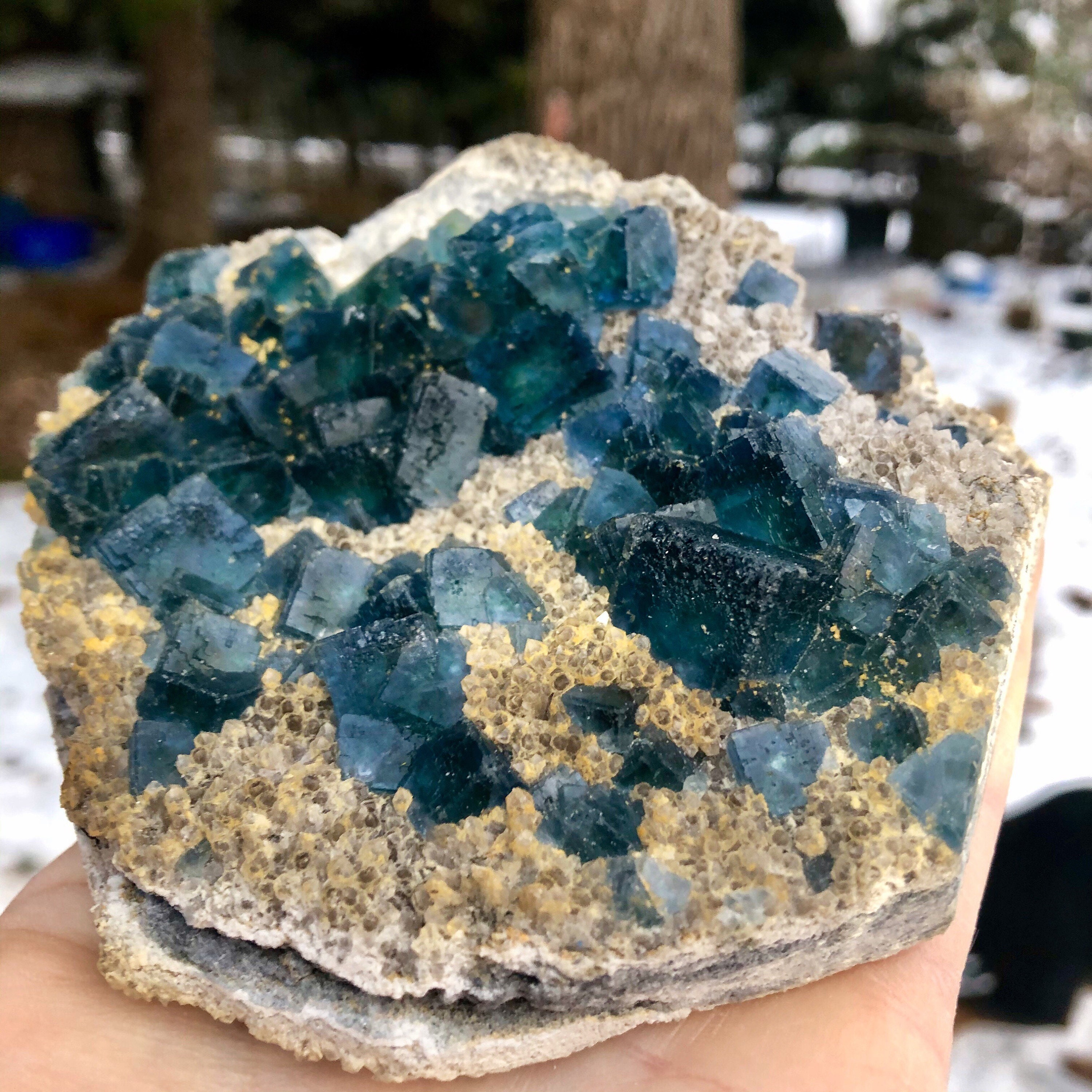 338g Vivid Blue Cubic Fluorite and Smoky Quartz Crystals on matrix