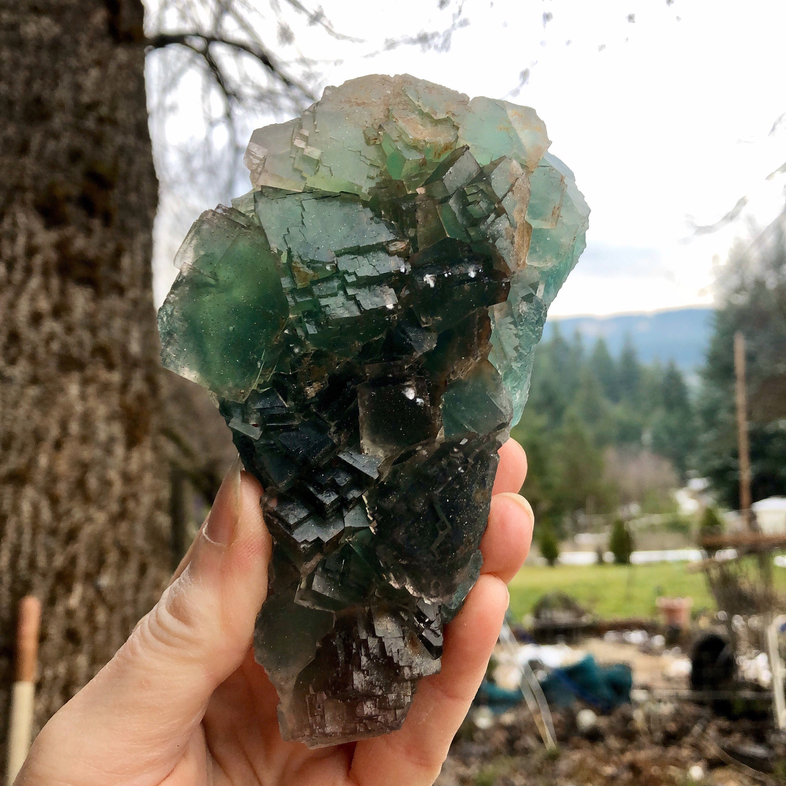 486g Green Cubic Ladder Fluorite Crystal Cluster Mineral Specimen