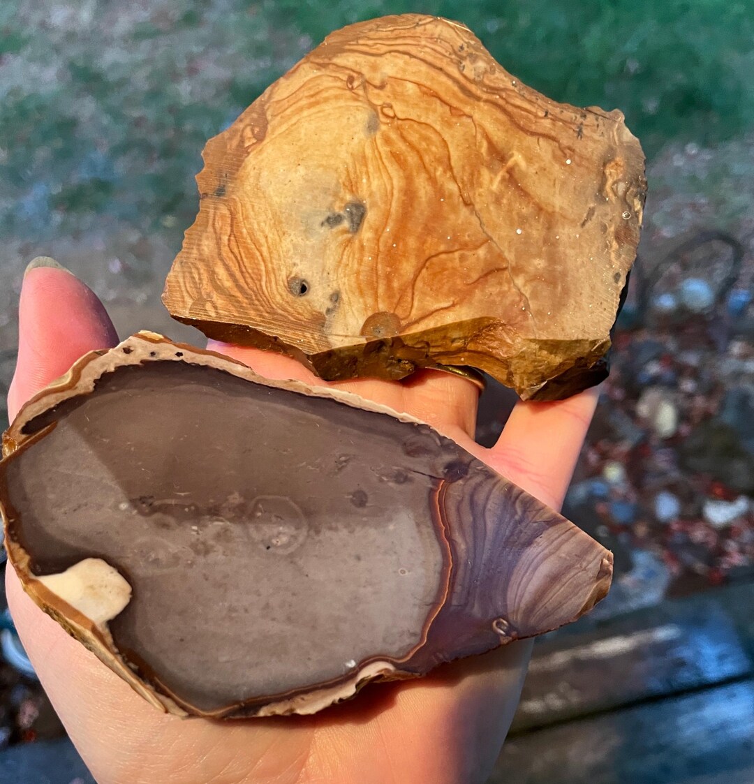 266g Biggs Jasper and Deschutes Jasper Rough Lapidary Stones - Etsy