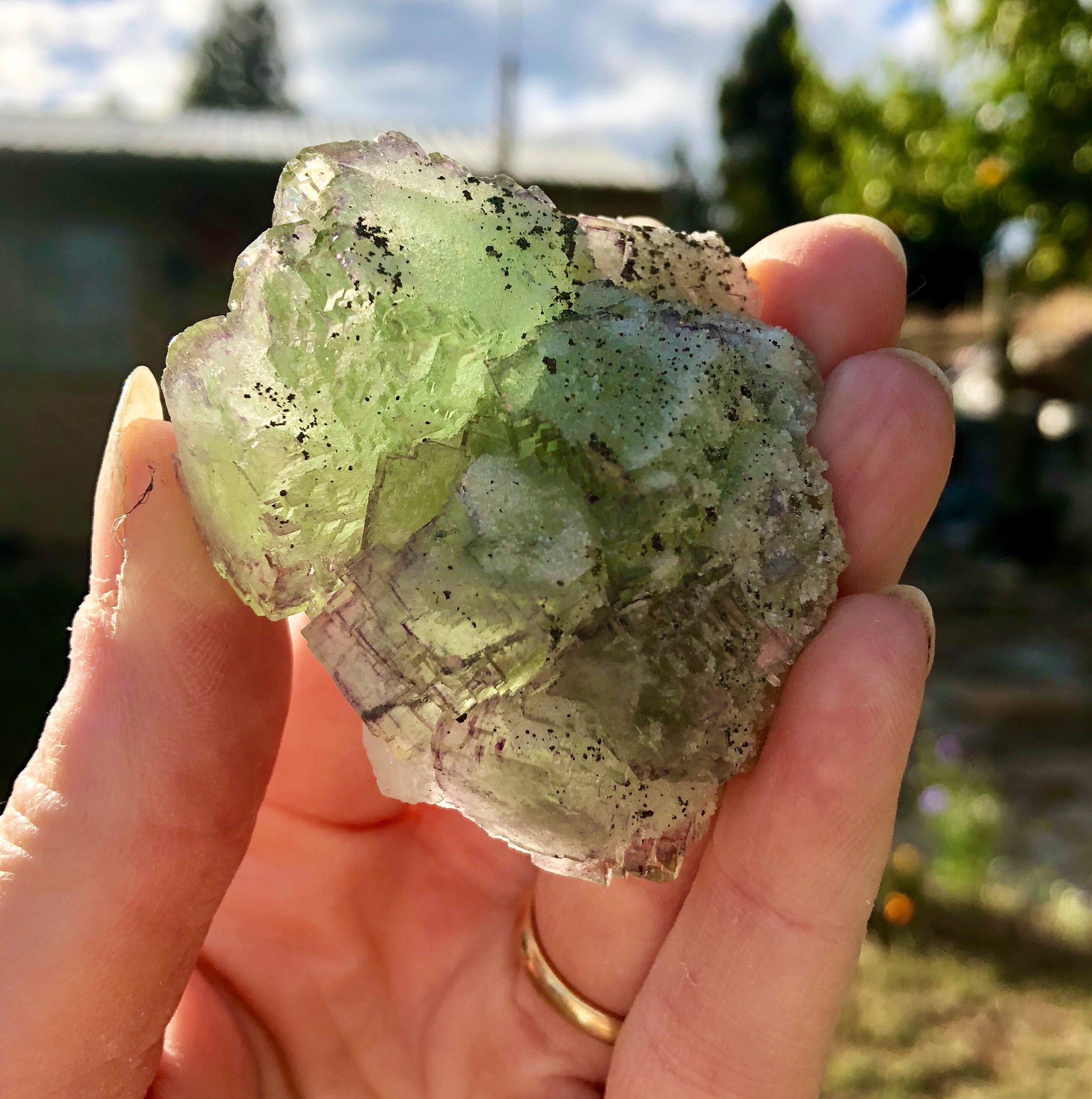 Rare Green and Purple Fluorite Crystal Cluster with Druzy Calcite and ...