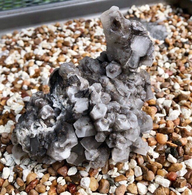 390g Black and white Columnar Hexagonal Calcite Crystal Cluster Mineral ...