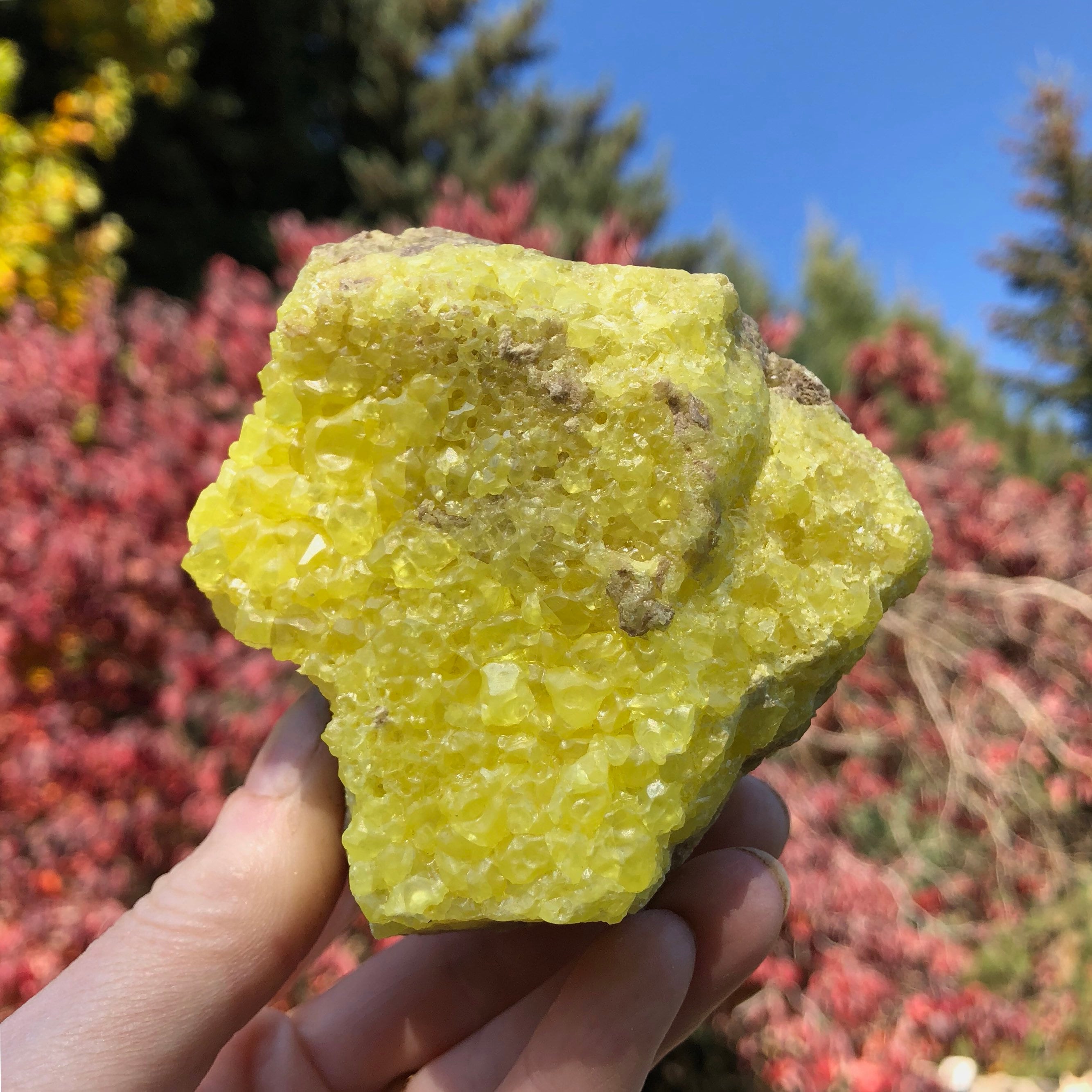 Large Yellow Sulfur or Sulphur Crystal Cluster Specimen
