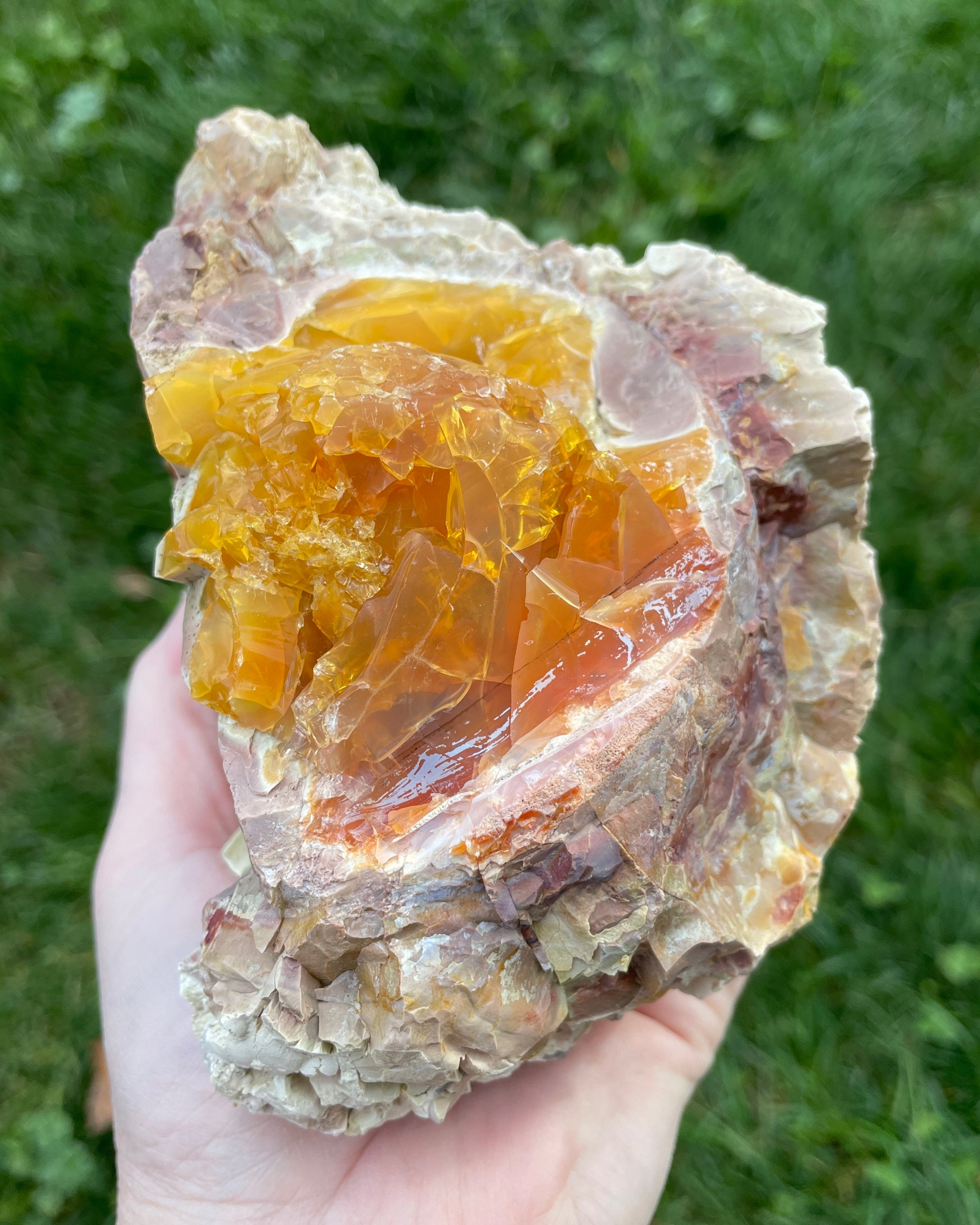 3.29 lb Oregon Opal in Rhyolite Jasper Mineral Display Specimen