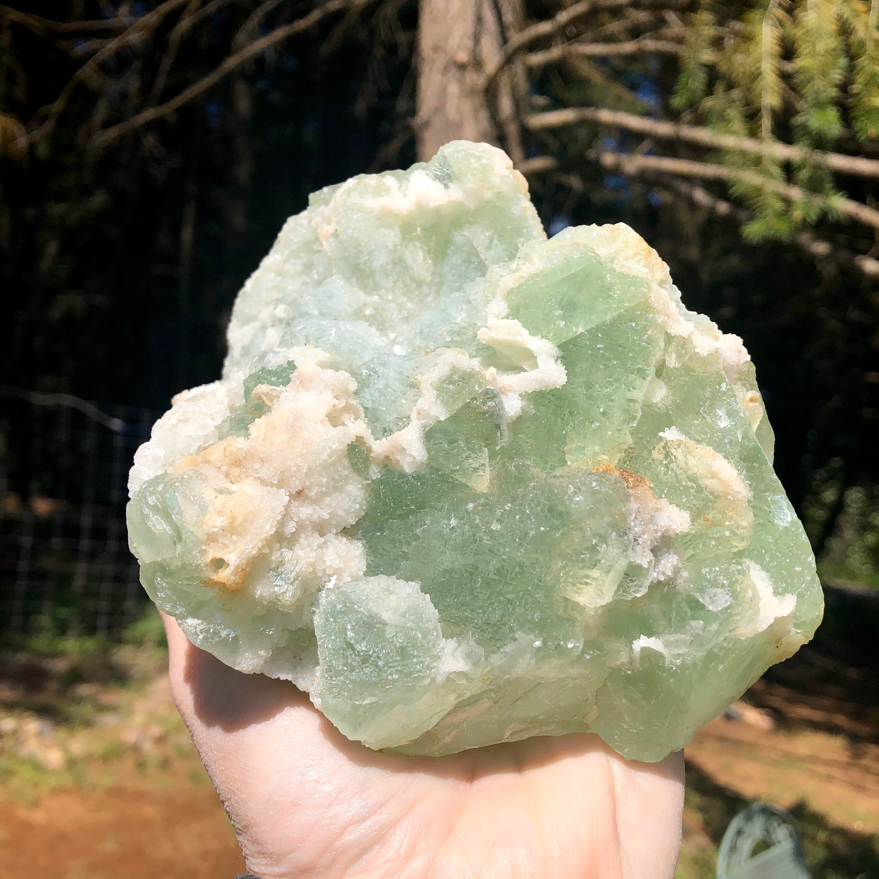 1926g Large Mint Green Fluorite And White Calcite Crystal Cluster ...