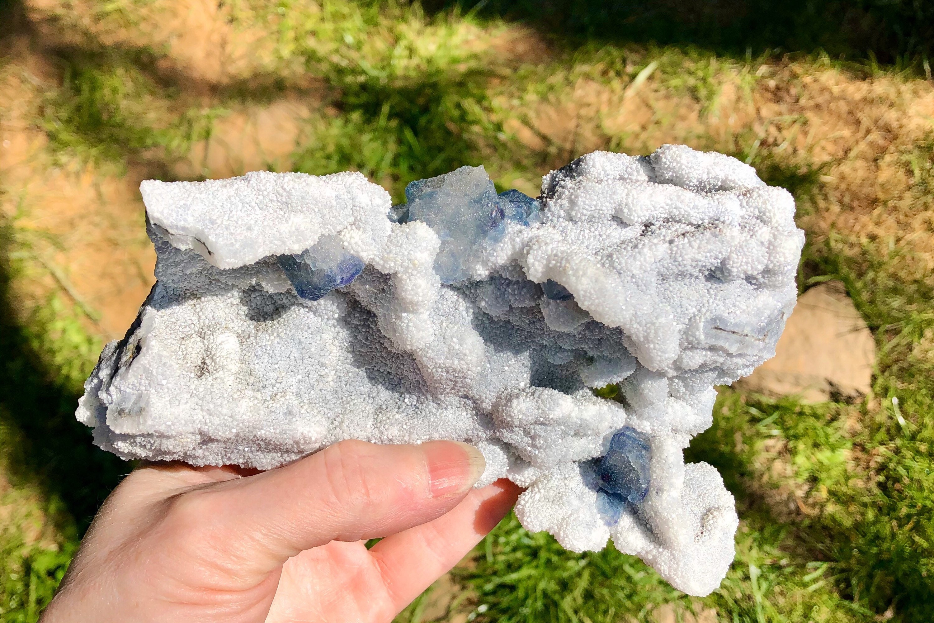 654g Blue Cubic Fluorite On White Druzy Stalactic Chalcedony Crystal ...