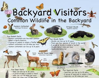 backyard animals list