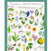 Wetlands Educational Nature Poster / Fun Kids Wildlife Poster ...
