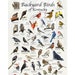 Backyard Birds of Kentucky Bird Identification Poster / Bird Field ...