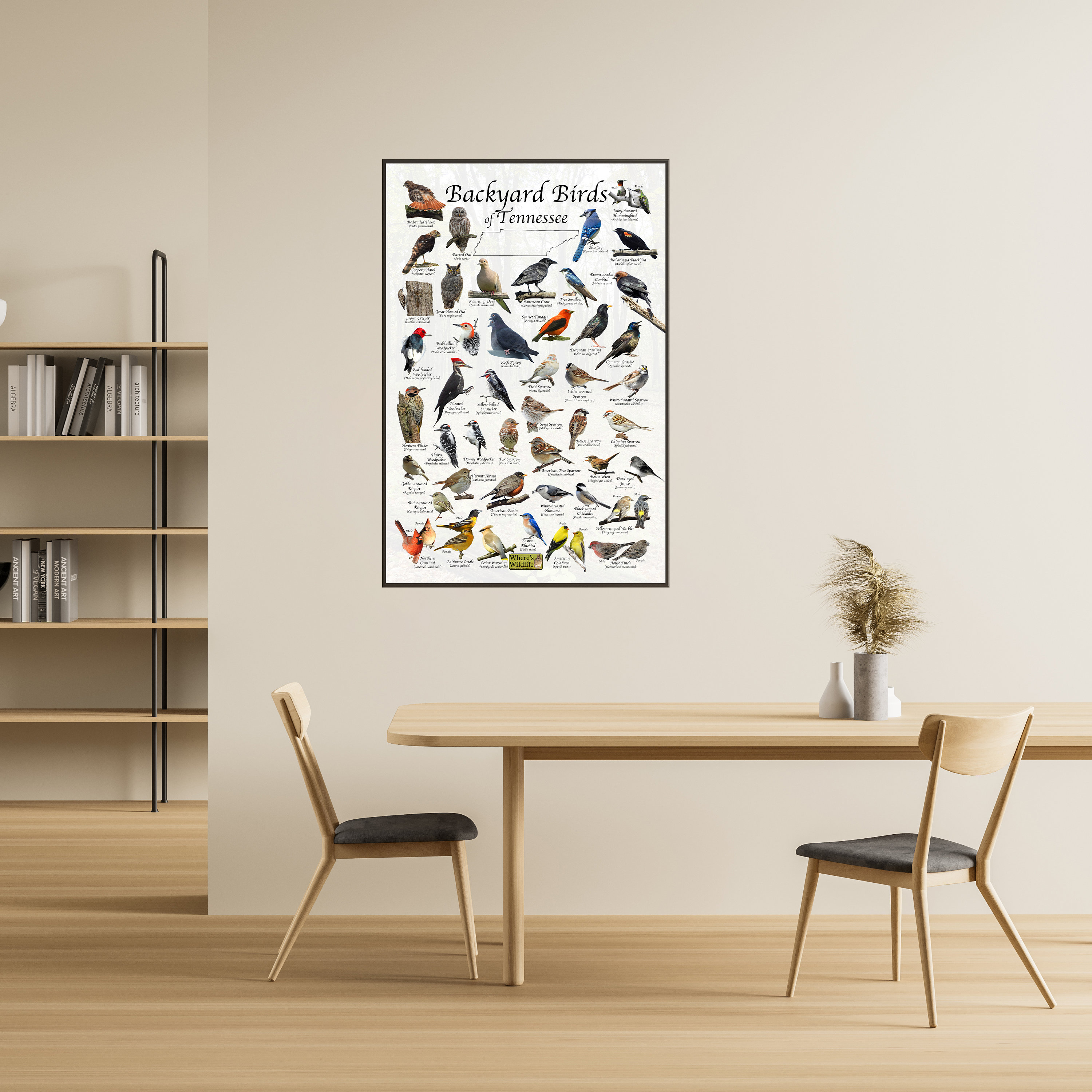 Backyard Birds of Tennessee Bird Identification Poster / Bird - Etsy