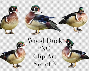 Duck Overlays for Photoshop - Etsy