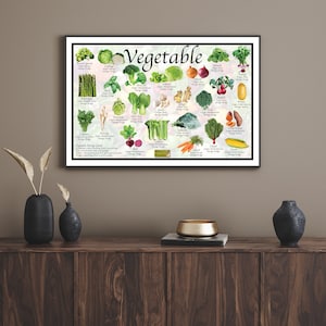 Vegetable Poster / Culinary Poster Providing Origin, Best Storage, and ...