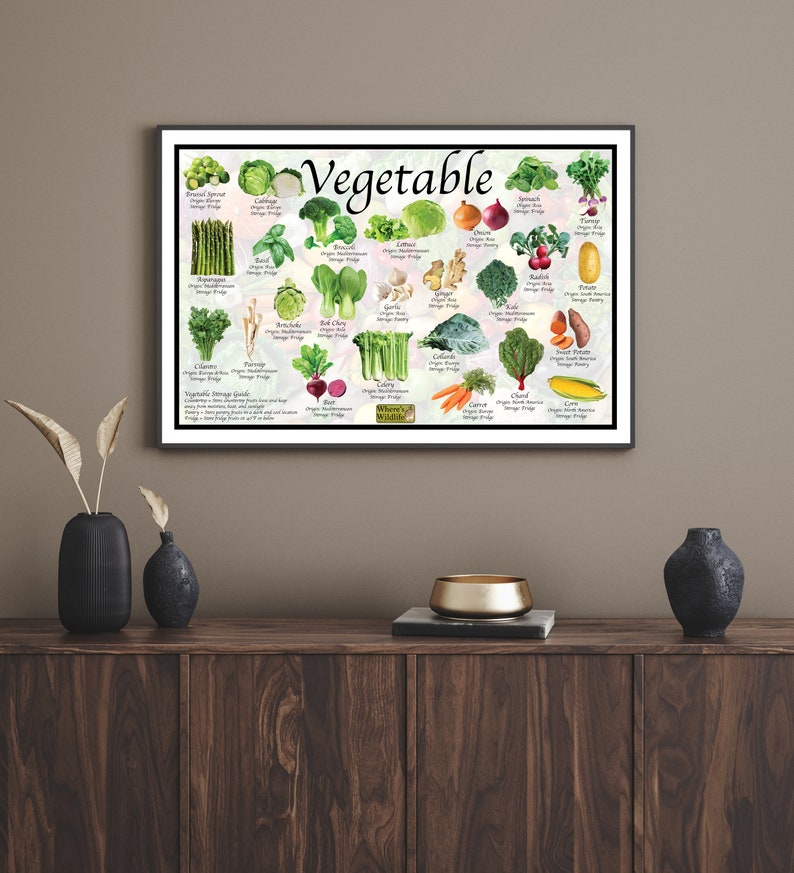 Vegetable Poster / Culinary Poster Providing Origin Best - Etsy