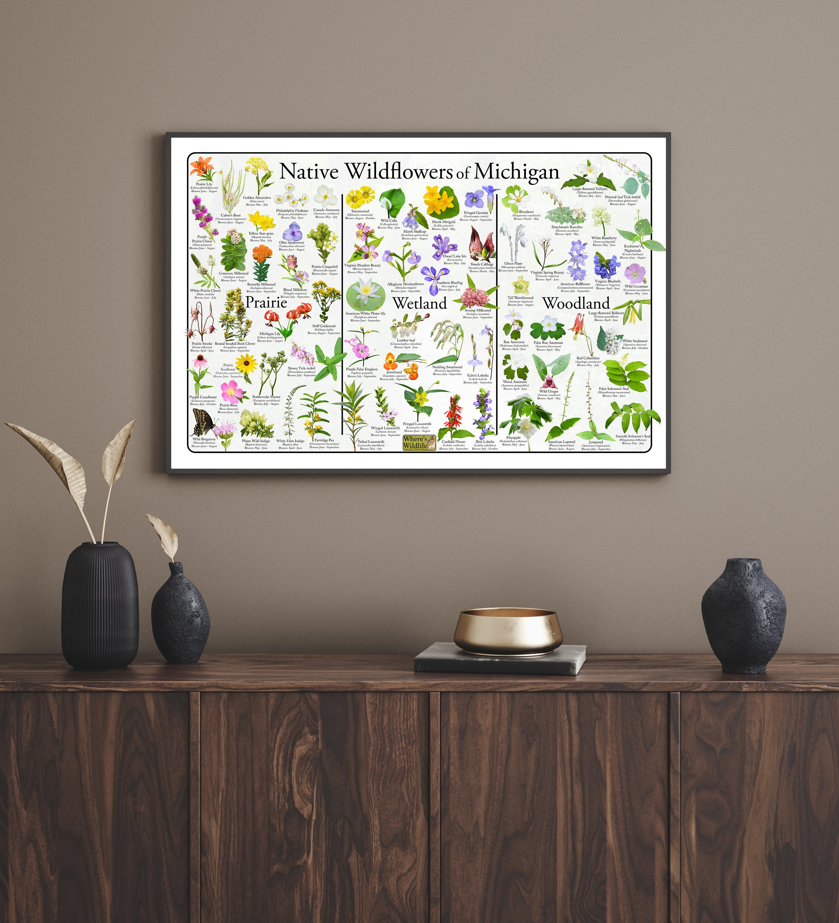 Native Wildflowers of Michigan Flower Identification Poster Divided ...