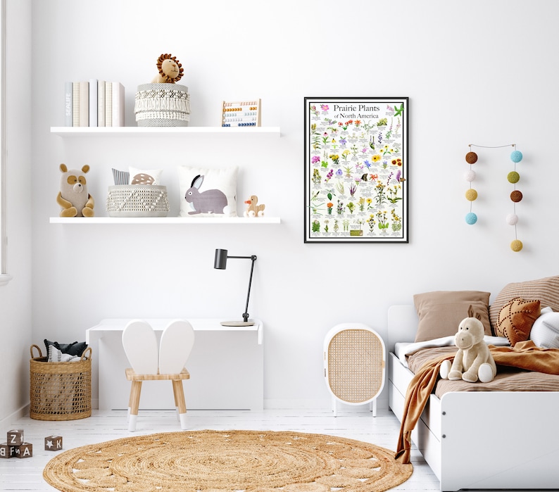 Prairie Plants of North America / Pollinator Plant Poster / Wildflower ...