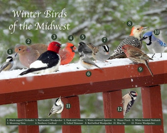 Midwest Photo Print - Etsy