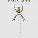 Creepy Crawly Spiders Clip Art set of 5 PNG Clipart With Transparent ...