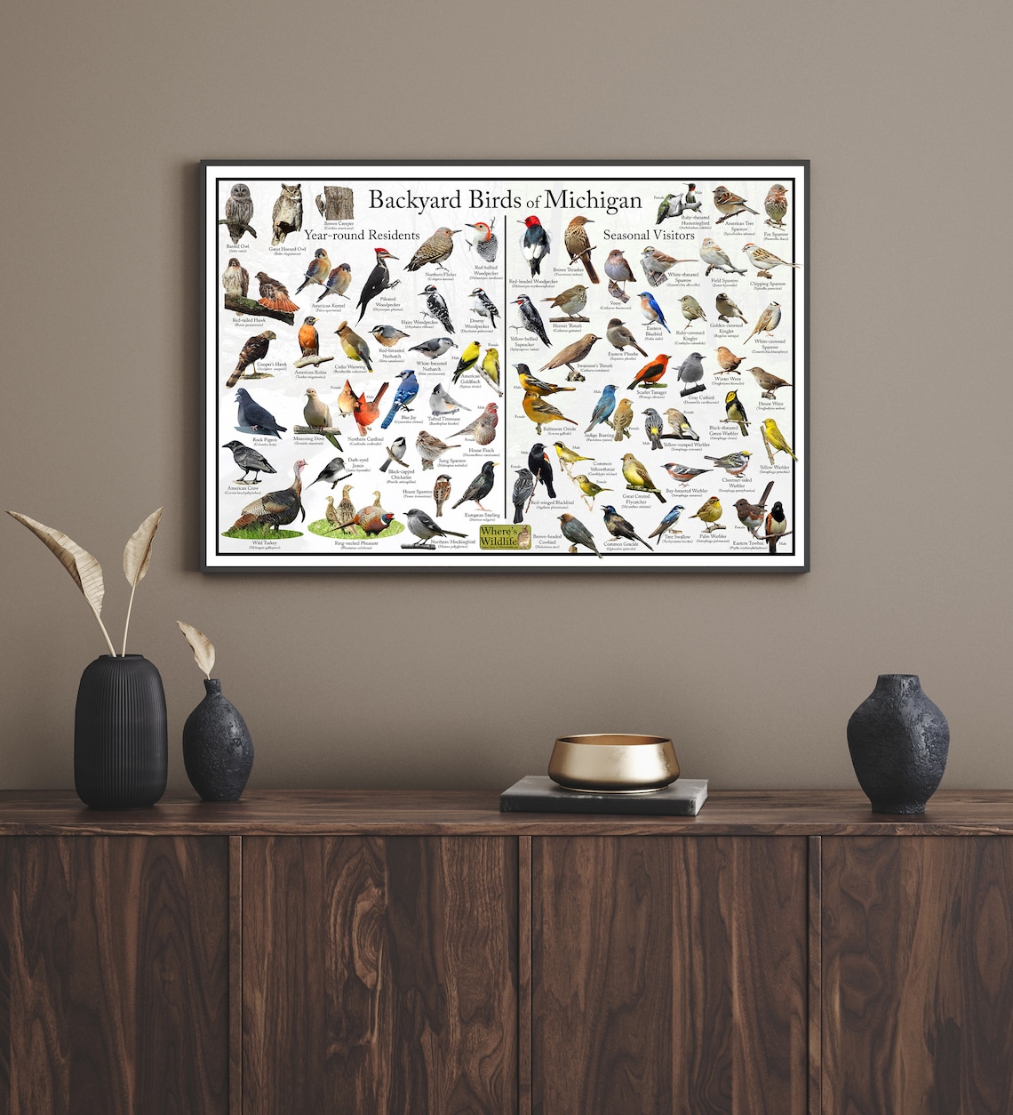 Backyard Birds of Michigan Bird Identification Poster Divided Into Year ...
