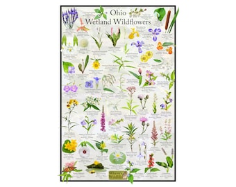 Native Ohio Posters - Etsy