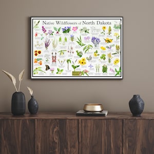 Native Wildflowers of North Dakota / State Flower Field Guide Providing ...