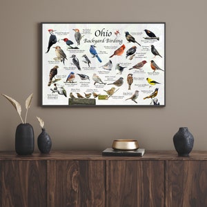 Birds of Ohio Backyard Birding Identification Picture Print/ Great ...
