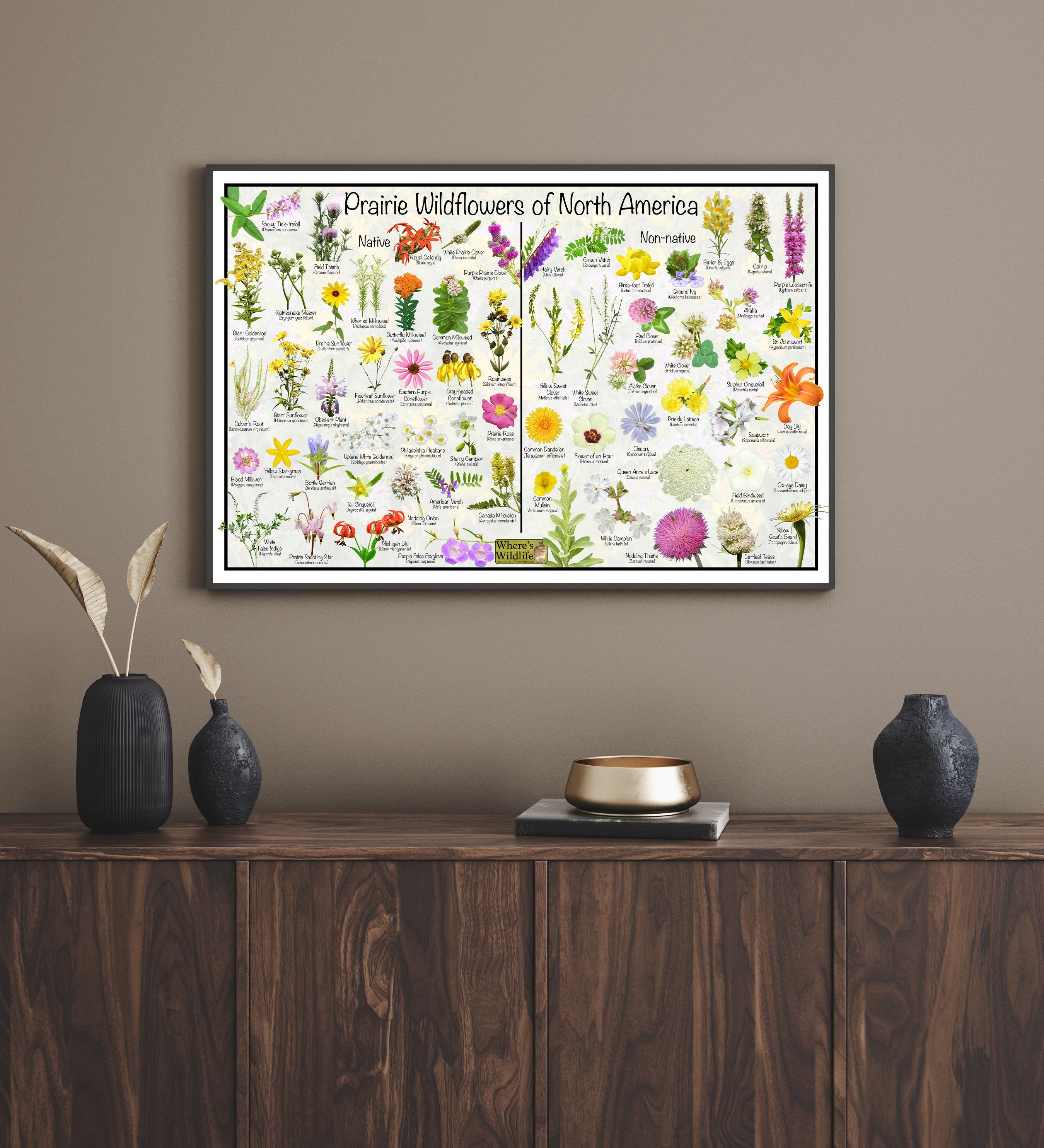 Prairie Wildflowers of North America / Flower Field Guide - Etsy