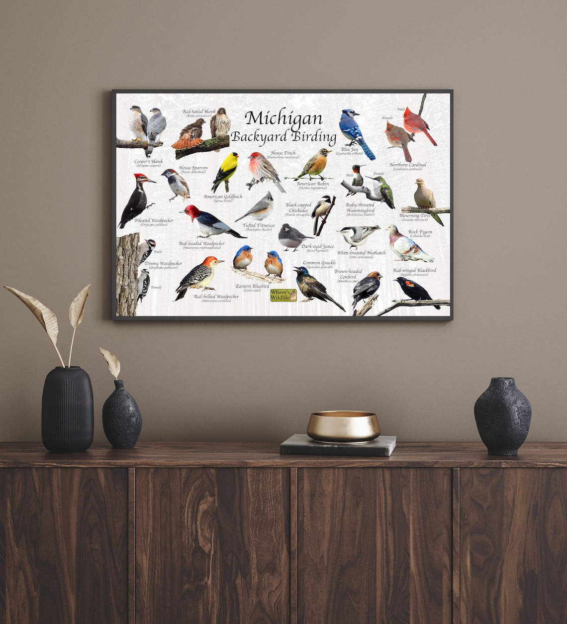 Birds of Michigan Backyard Birding Identification Picture Print/ Great ...