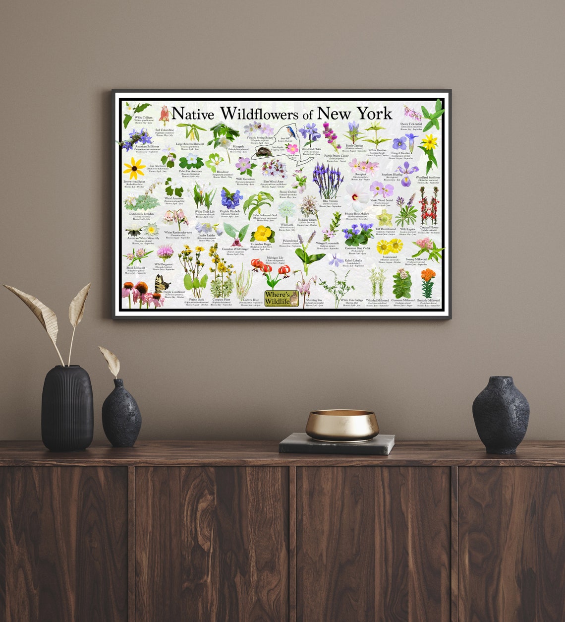 Native Wildflowers of New York / State Flower Field Guide | Etsy