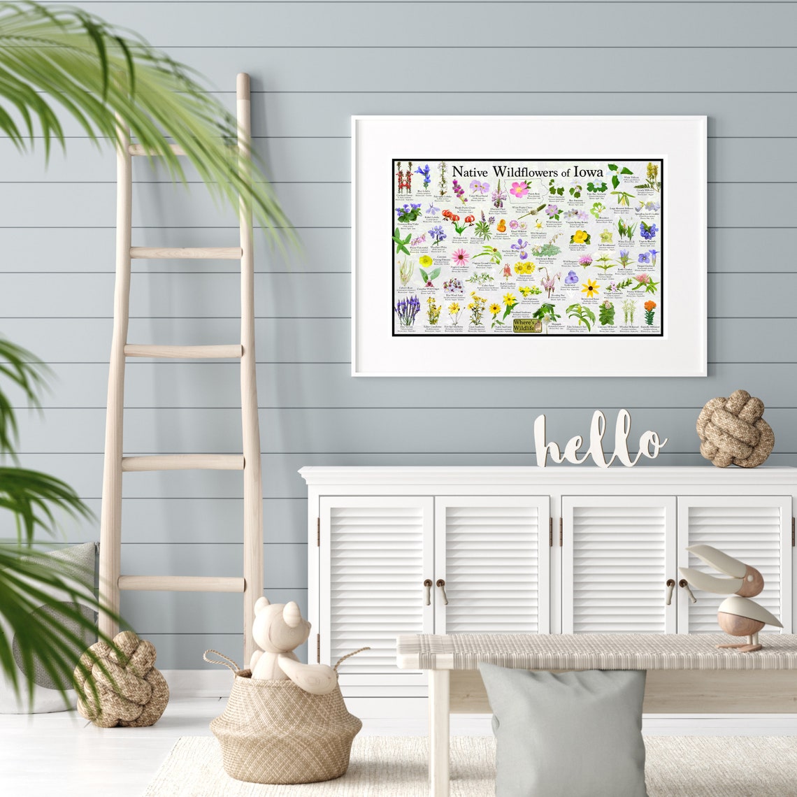 Native Wildflowers of Iowa / State Flower Field Guide Poster Providing ...