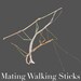 Walking Stick Bugs Clip Art set of 5 PNG Clipart With - Etsy