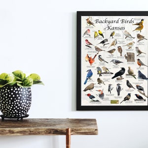 Birds of Kansas State / Backyard Birding Identification Picture Print ...