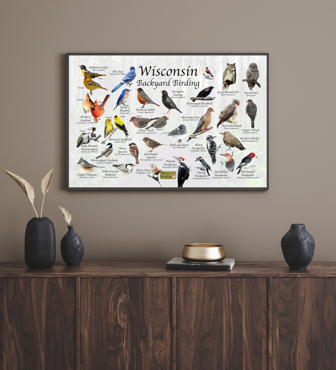 Birds of Wisconsin Backyard Birding Identification Picture Print ...