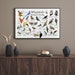 Birds of Wisconsin Backyard Birding Identification Picture Print ...
