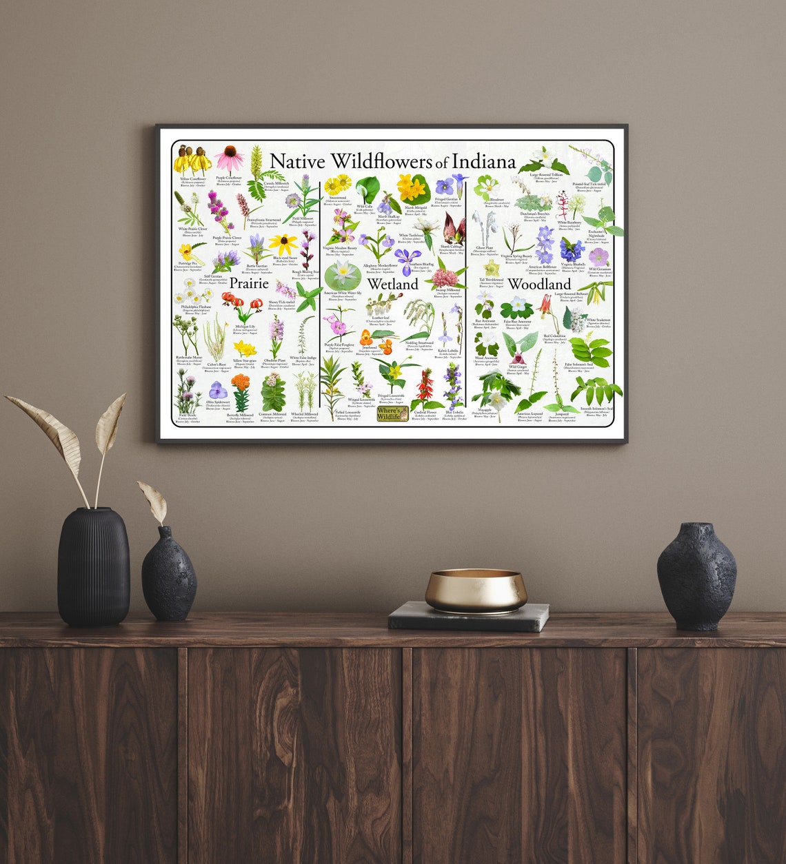 Native Wildflowers of Indiana Flower Identification Poster Divided Into ...