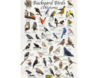 Birds of Ohio Backyard Birding Identification Picture Print/ Great ...