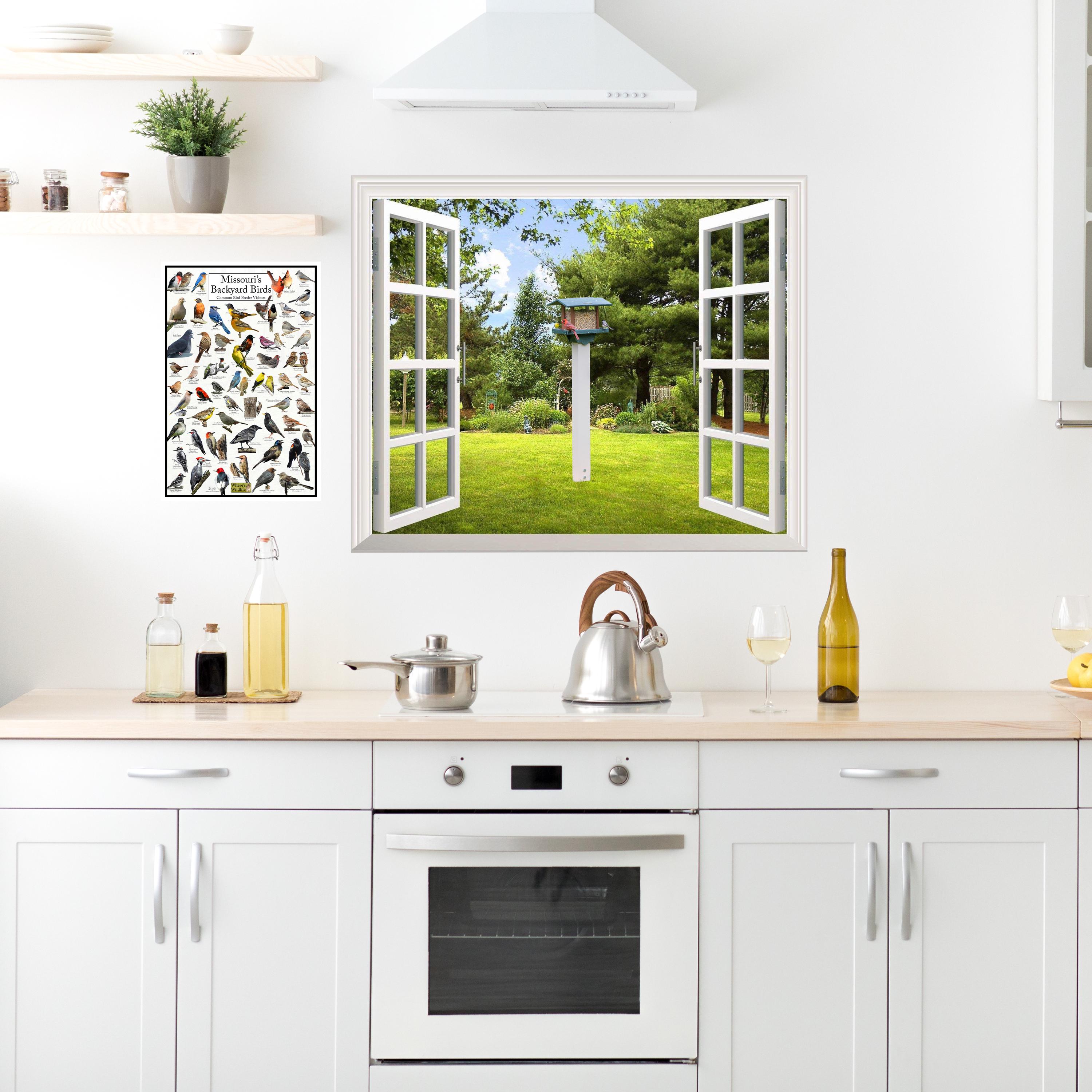 Missouri's Backyard Birds Poster - Missouri Bird Watching Chart ...