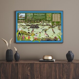 Marsh Habitat Wetland Educational Nature Poster / Fun Kids Wildlife ...
