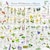 Native Wildflowers of Indiana Flower Identification Poster Divided Into ...