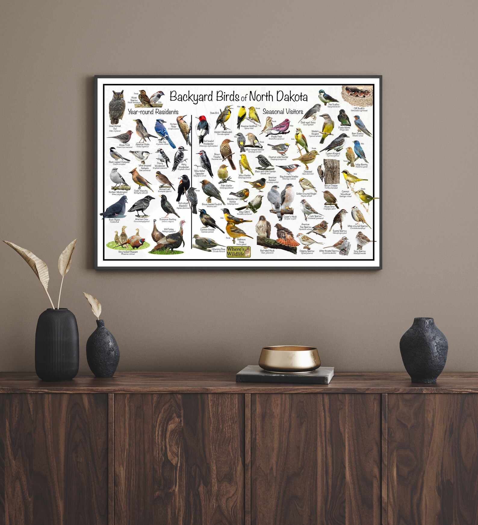 Backyard Birds of North Dakota Bird Identification Poster Divided by ...
