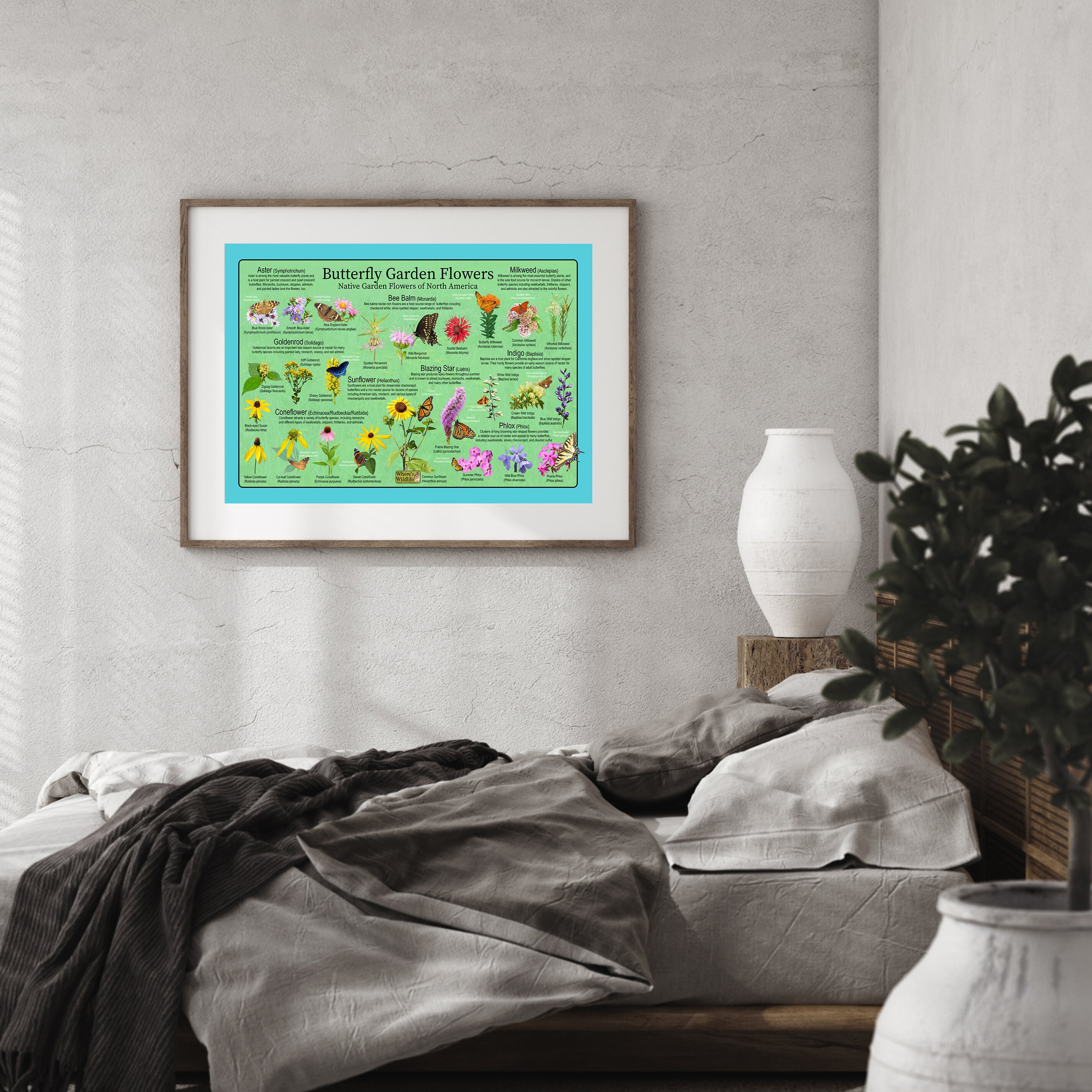 Butterfly Garden Flower Poster / Native Flowers to Attract Butterflies ...