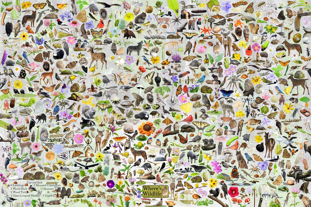 Nature Collage Poster (24" X 36") Print Contains Over 700 Images of ...