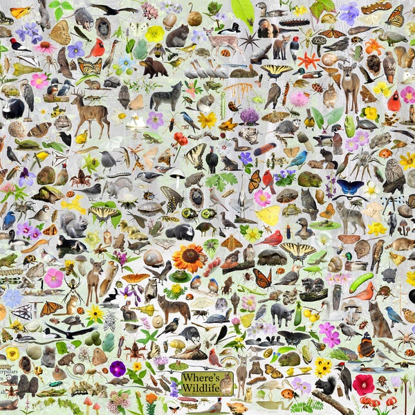 Nature Collage - Etsy