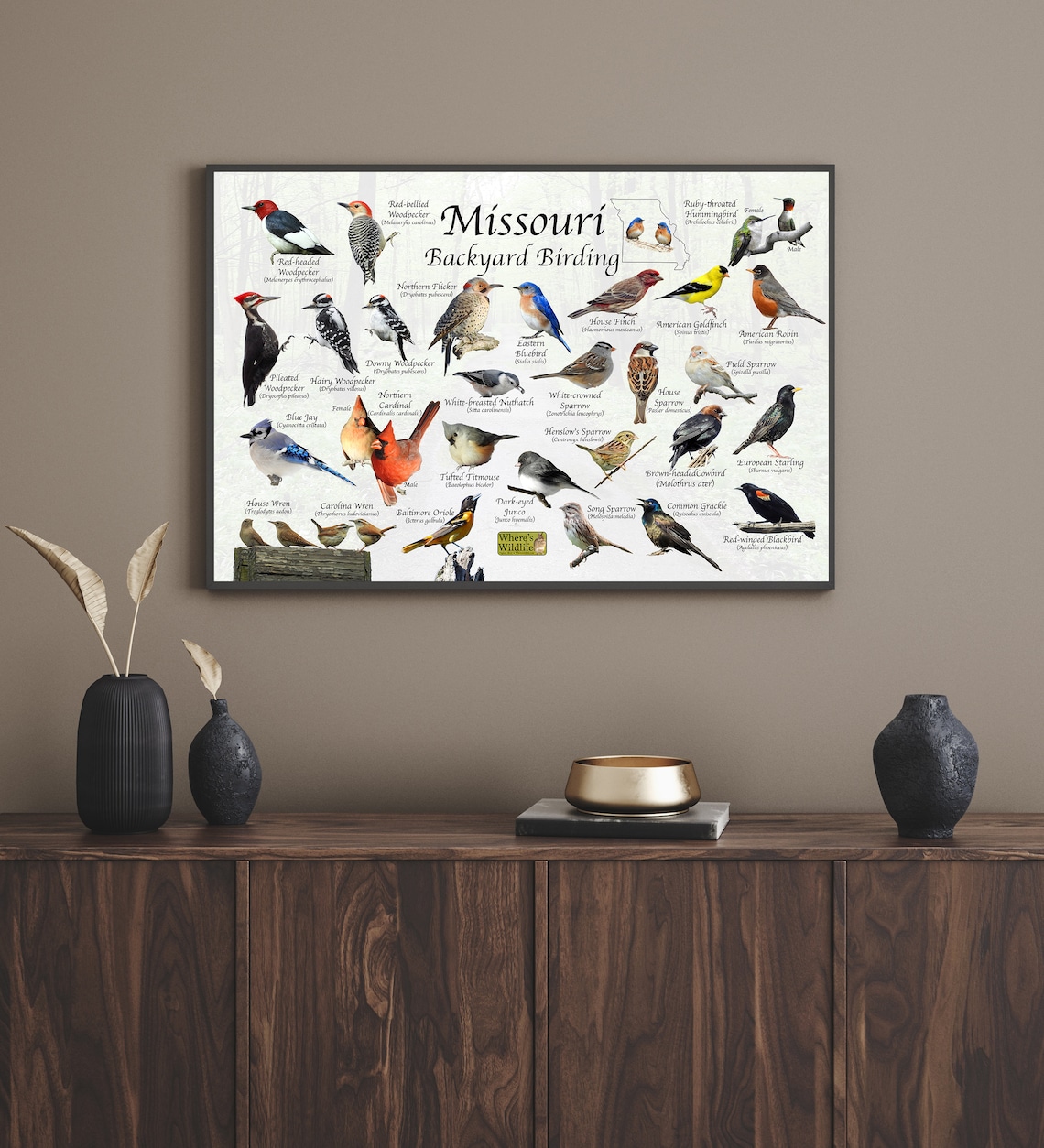 Birds of Missouri Backyard Birding Identification Picture Print / Great ...