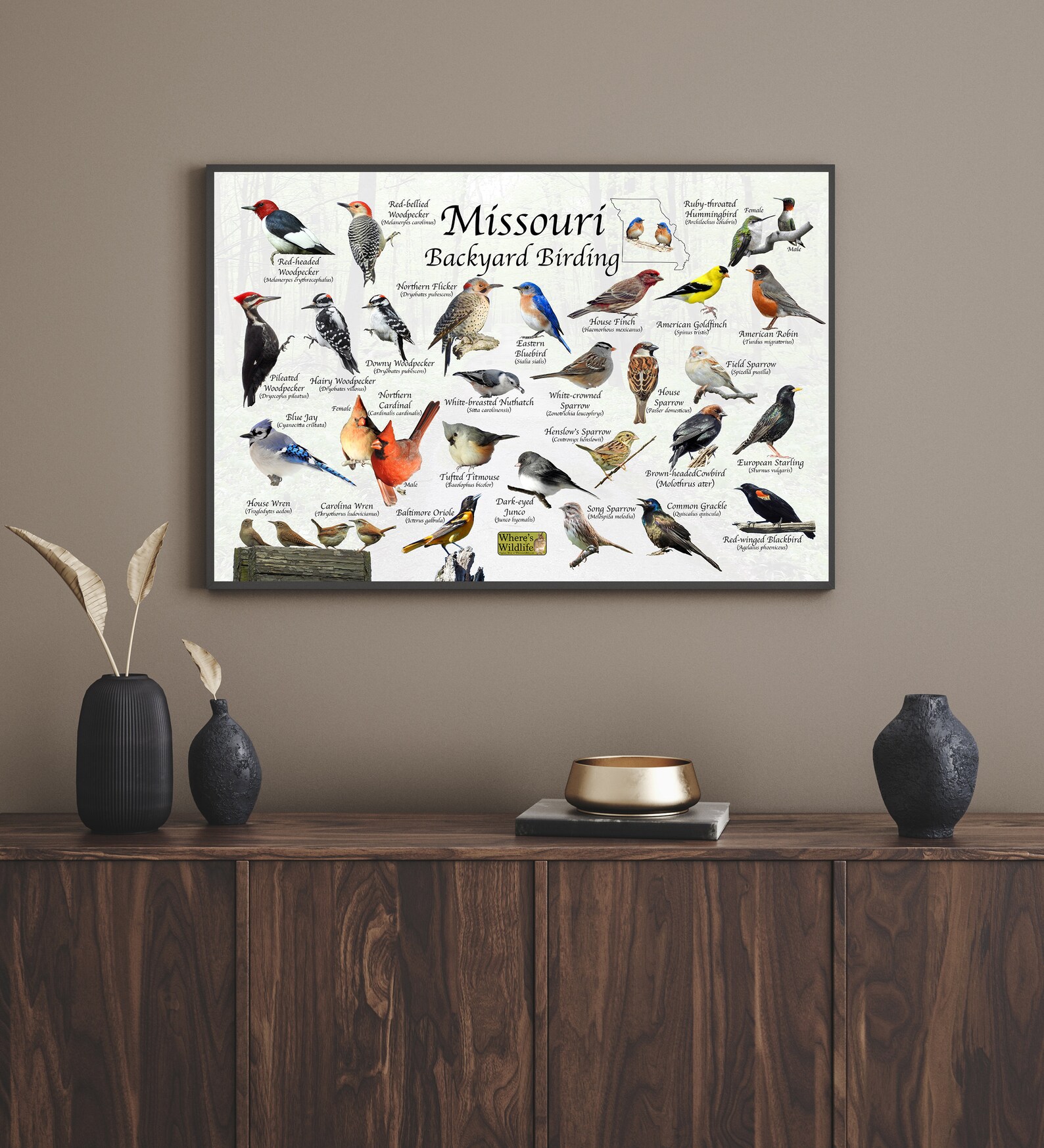 Birds of Missouri Backyard Birding Identification Picture Print / Great ...
