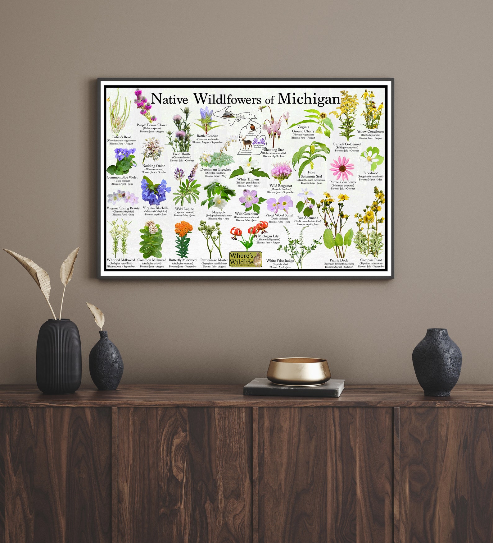 Native Wildflowers of Michigan / State Flower Field Guide - Etsy