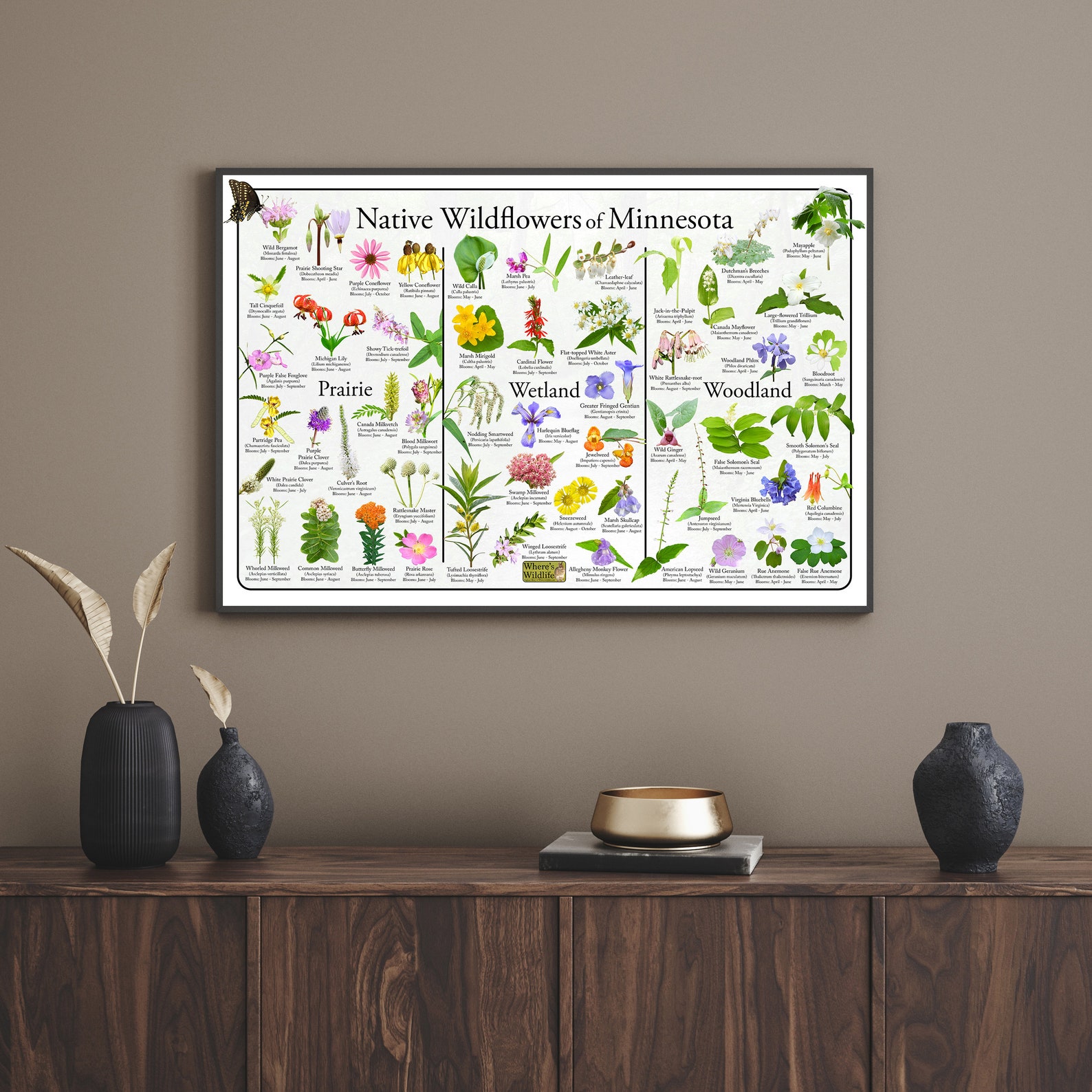 Native Wildflowers of Minnesota Flower Identification Poster Divided ...